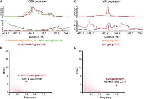 Haplotype Based Tests Of Selection Using Hapmap Phase Ii Data Plots Of