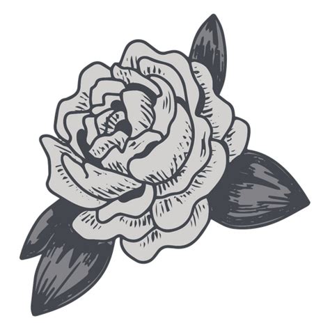 Isoliertes Rosafarbenes Einfarbiges Design PNG Und SVG Design Für T Shirts