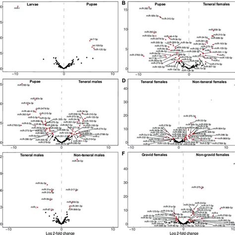 Volcano Plots Of Differentially Regulated Sex Specific Mirnas In G