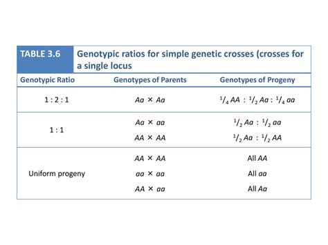 Basic Principles Of Heredity Ppt Download