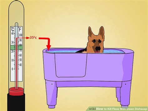 Easy Ways To Kill Fleas With Dawn Dishsoap Wikihow
