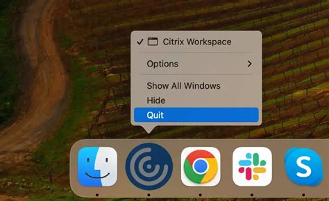 How To Uninstall Citrix Workspace On Mac Complete Guide