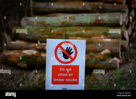 Warning Danger Sign Fresh Cut And Stacked Logs Timber Natural Woodland Environment