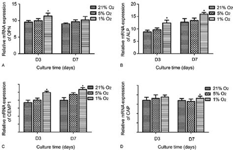 the relative gene expression of bone related genes reverse
