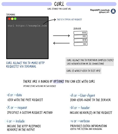 Getting Started With Curl Thread 🧵 Thread From Rapid Rapidapi Rattibha
