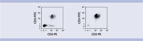 Human Pan T Cells Activation And Expansion Protocol Miltenyi