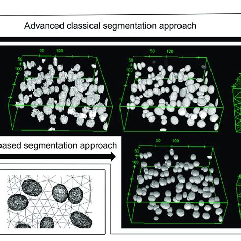3d View Of The Deep Zone From Animal 4 Sample 1 A From Top Left To