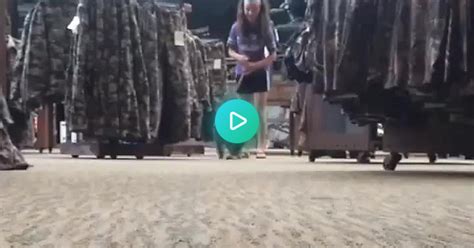 Waddle Waddle Waddle Album On Imgur