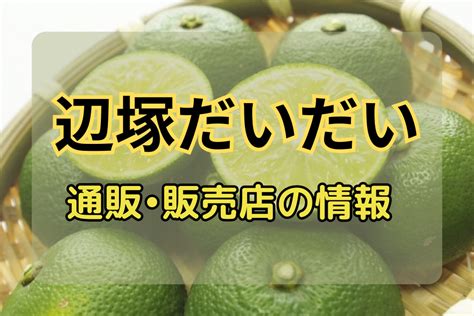 辺塚だいだいの通販お取り寄せにふるさと納税！販売スーパーはある？【青空レストラン】 はっちーのキャンプ場紹介！