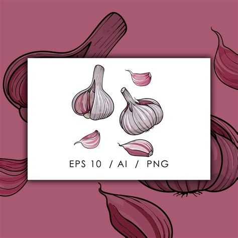 Hand Drawn Garlic Vector Illustration Masterbundles