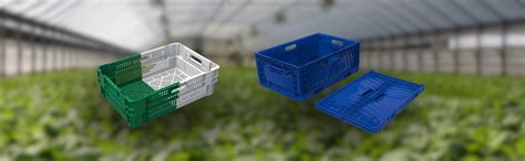 Standard Crates For The Fruit And Vegetables Sector Didak Injection