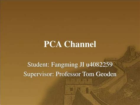 PPT PCA Channel PowerPoint Presentation Free Download ID