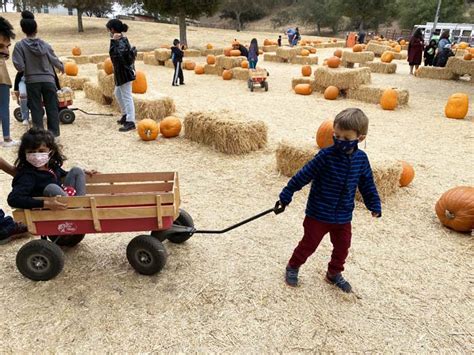Classic Pumpkin Patch At Rowell Ranch In Castro Valley 510 Families