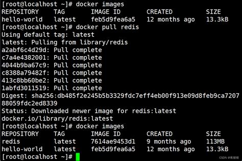 Docker常用命令查找本地hello World镜像并只显示镜像的id Csdn博客