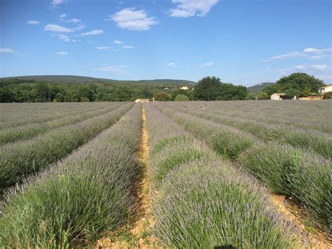 Mda Formance Crée Votre Poste Dassistant E Relation Client En Drôme Provençale