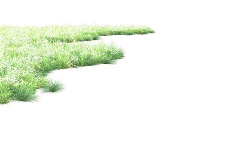 Grass Flower Pngs For Free Download