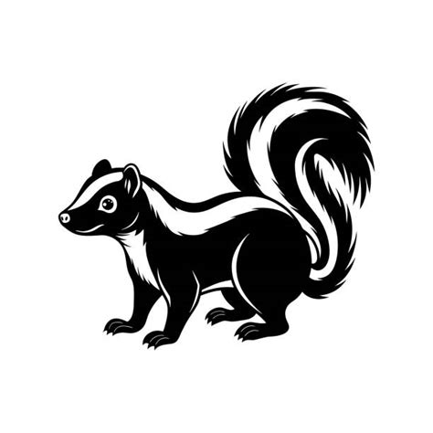Skunk Clipart Black And White Versatile Black And White Designs For