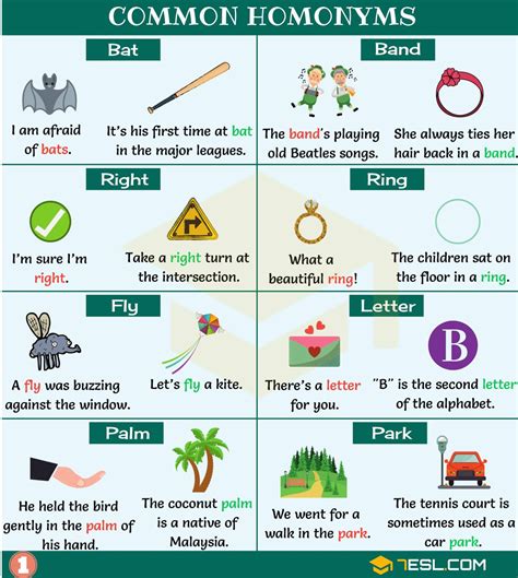 Homonym Extensive List Of 300 Homonyms With Examples Artofit