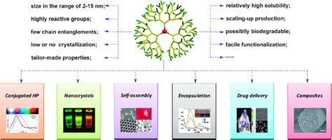Relationship Between The Structure And Property Of HPs And Their Major Download Scientific