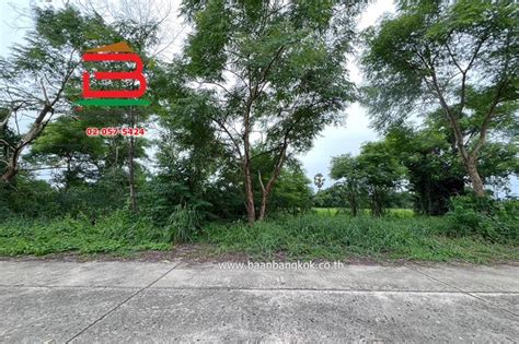 ที่ดินเปล่า คลอง 13 หนองเสือ เนื้อที่ 80 ตรว ตำบลหนองสามวัง อำเภอหนอง
