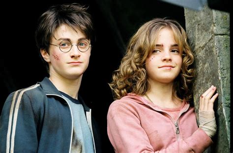 Hermione Grangerrelationships Heroes And Villains Wiki Fandom