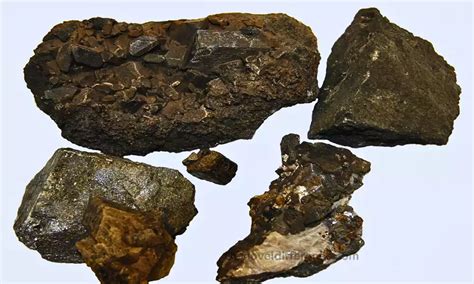 Difference Between Pyroxene And Amphibole The Novel Difference