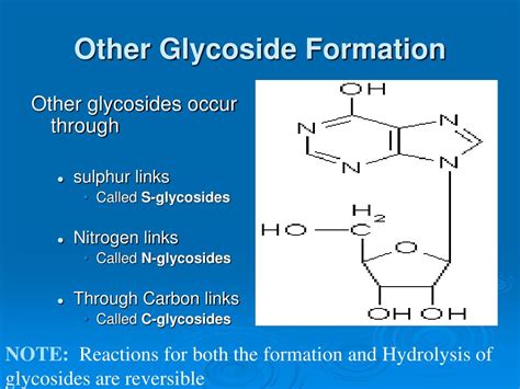 Ppt Plant Glycosides Powerpoint Presentation Id586467