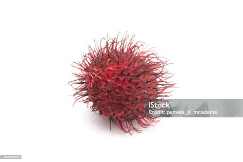 신선한 붉은 Rambutan 흰색 배경에 고립 0명에 대한 스톡 사진 및 기타 이미지 0명 건강한 생활방식 건강한 식생활