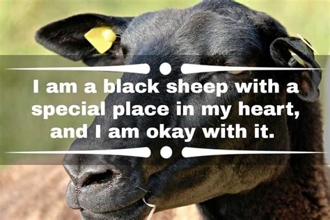Black Sheep Security Quotes The Black Sheep