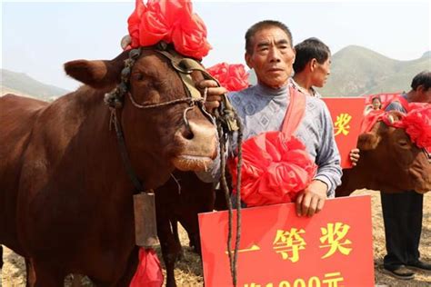 「豐收啦，我向祖國報喜！」 每日頭條