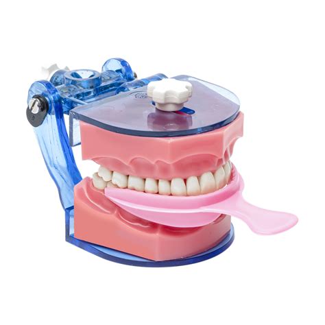 Bite Registration Dentures At Amy Kugler Blog