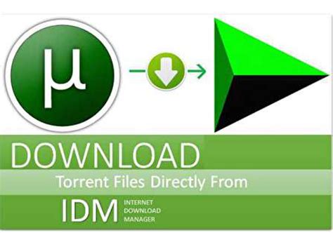 آموزش دریافت تورنت با دانلود منیجر ستاره