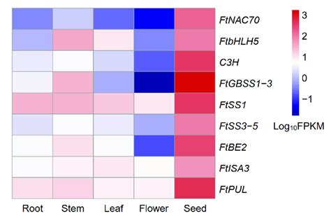 Tissue Specific Expression Patterns Of Nine Candidate Genes In The