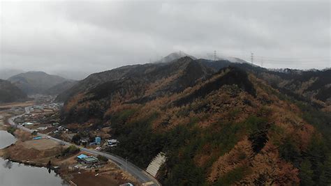 지난 해 동해안 산불 피해 복원 위한 기본 계획 발표