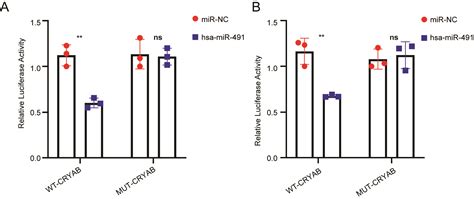 Fgd5 As1 Is A Hub Lncrna Cerna In Hearts With Tetralogy Of Fallot Which