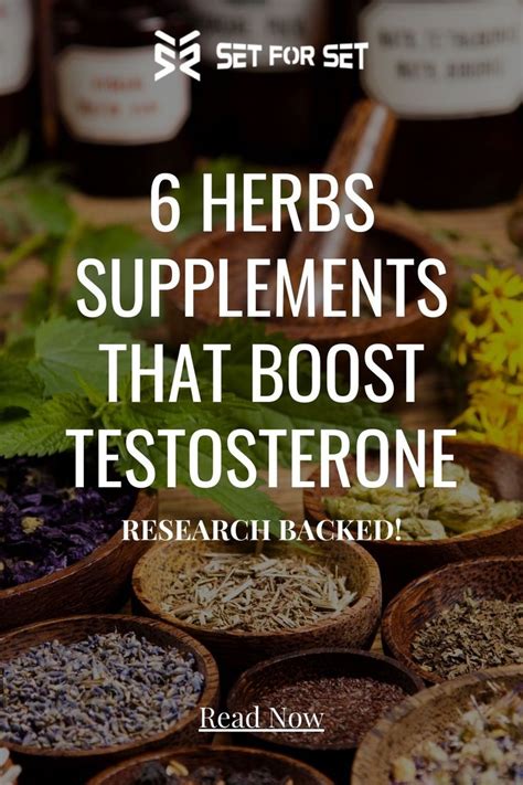 6 Best Herbs That Boost Testosterone In 2025 Boost Testosterone