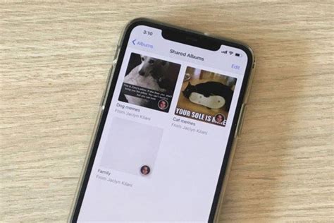 How To Create And Manage ICloud Shared Albums In IOS 15 Hawkdive