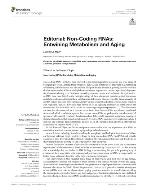 Pdf Editorial Non Coding Rnas Entwining Metabolism And Aging