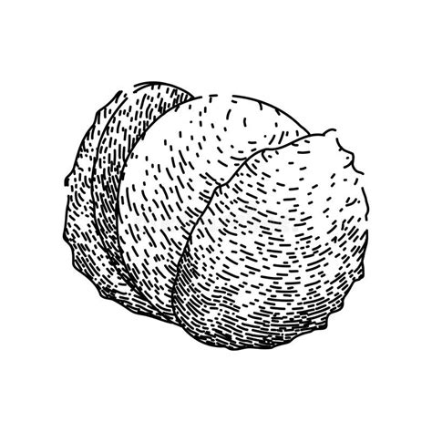 Lychees Texture Stock Illustrations 98 Lychees Texture Stock