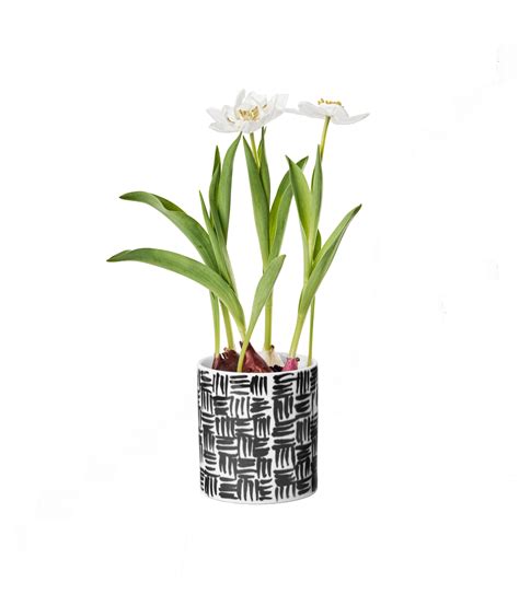 Deko Vases Straw And Designer Furniture Architonic