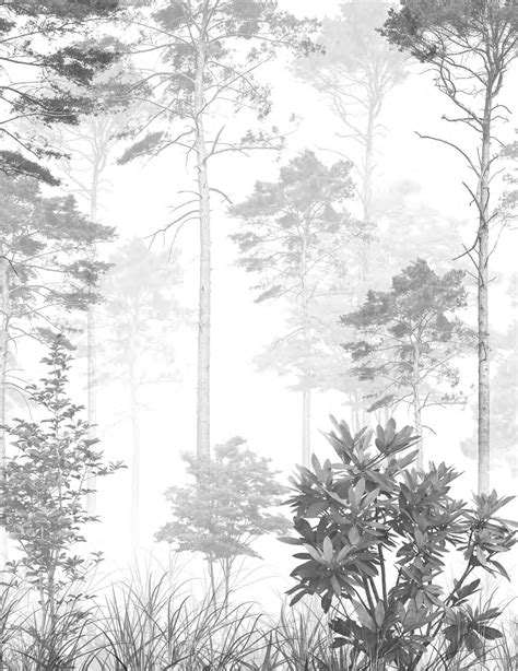 Bird Conservation Spring 2023 By Abcbirds Issuu