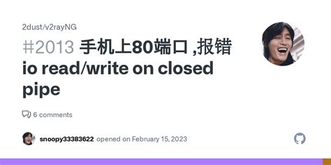 手机上80端口 报错io Readwrite On Closed Pipe · Issue 2013 · 2dustv2rayng
