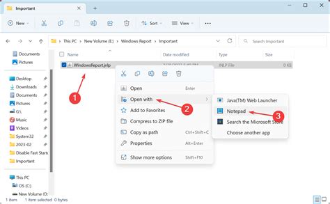 Fix Jnlp File Not Openinglaunching Automatically