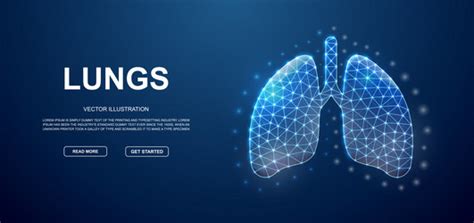 Lungs Low Poly Symbol With White Connected Dots Vector Image