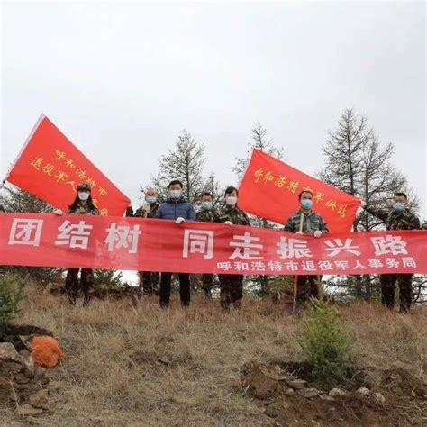 共植团结树，同走振兴路呼和浩特市活动文明