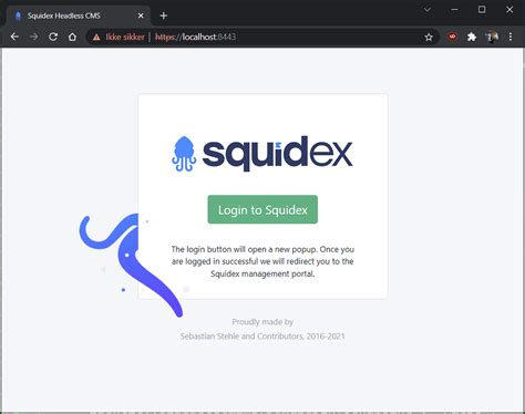 Squidex On Docker Example Problems Hosting Onpremise Squidex Support