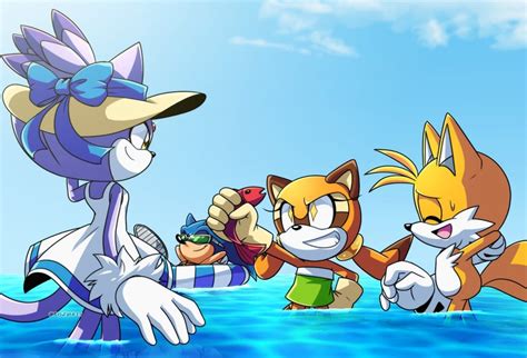Sonic The Hedgehog Blaze The Cat Tails And Marine The Raccoon Sonic And 1 More Drawn By