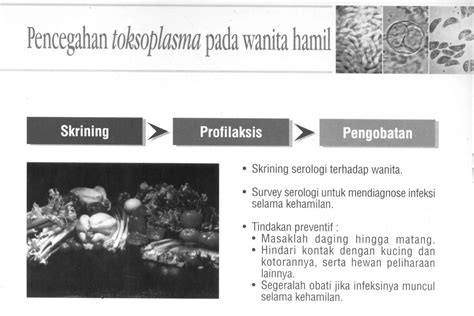 Torchpptpendidikanprogramdokterspesialisppt