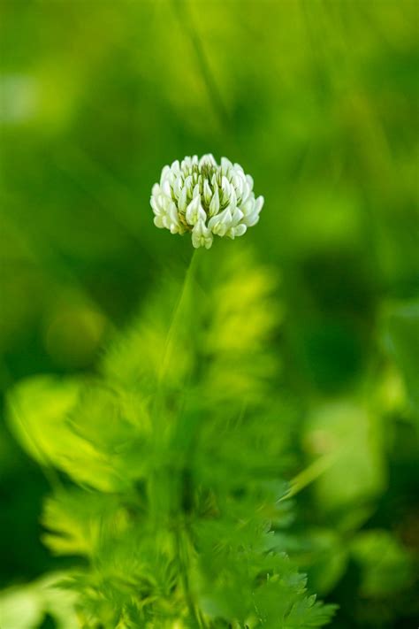 Photography Of Mara Darrow North American Reciprocal Museum Narm Association®