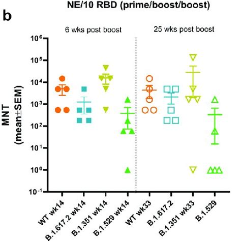 Longevity Of Humoral Immune Responses Induced By In Immunization The